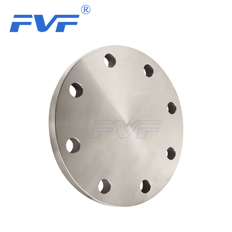 Flanges - FVF TECHNOLOGY CO., LIMITED