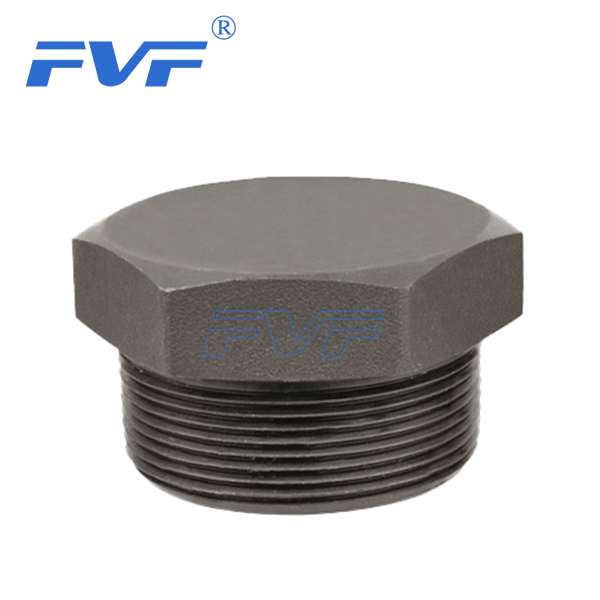 3000PSI Pipe Fittings - FVF TECHNOLOGY CO., LIMITED